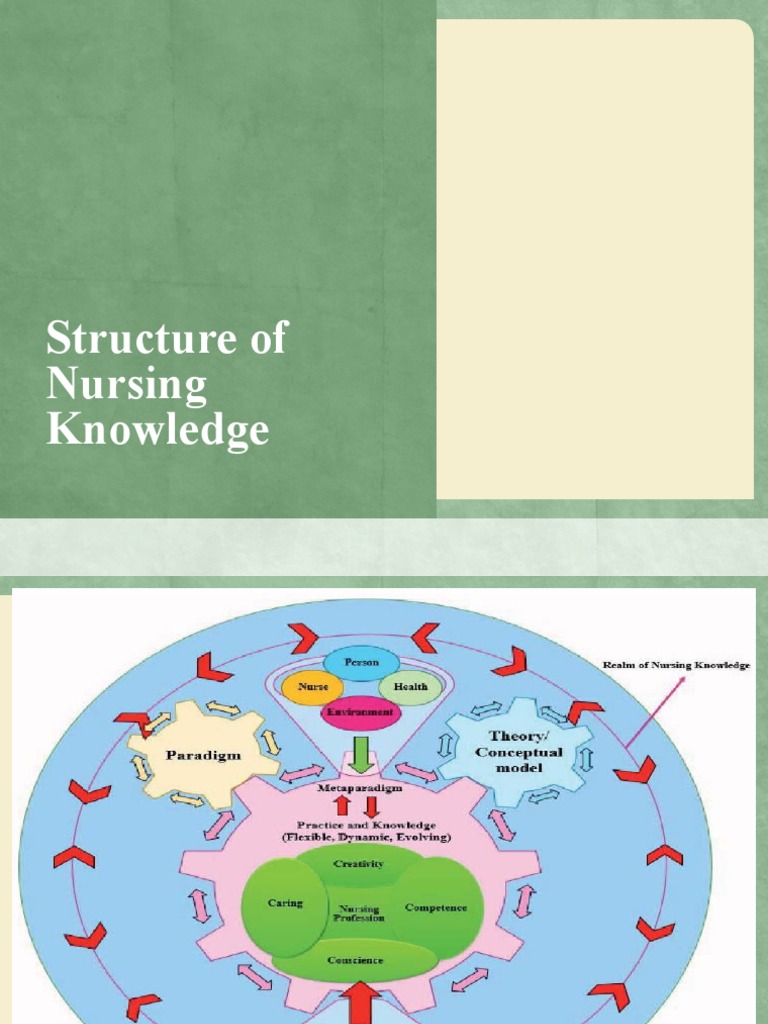 Structure of Nursing Knowledge | PDF | Theory | Concept