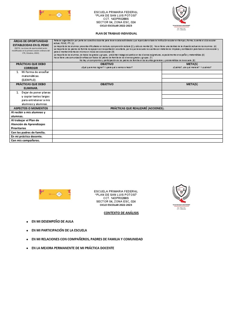 Formato Pti | PDF | Educación primaria | Cognición