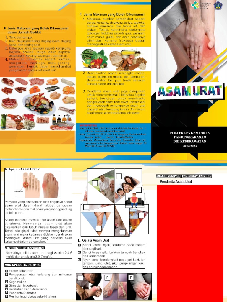 Leaflet Penkes Asam Urat | PDF