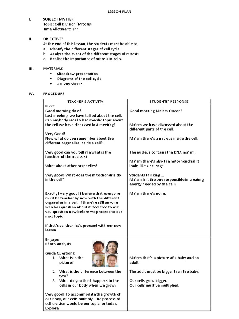 Lesson Plan Cell Cycle | PDF | Cell (Biology) | Mitosis