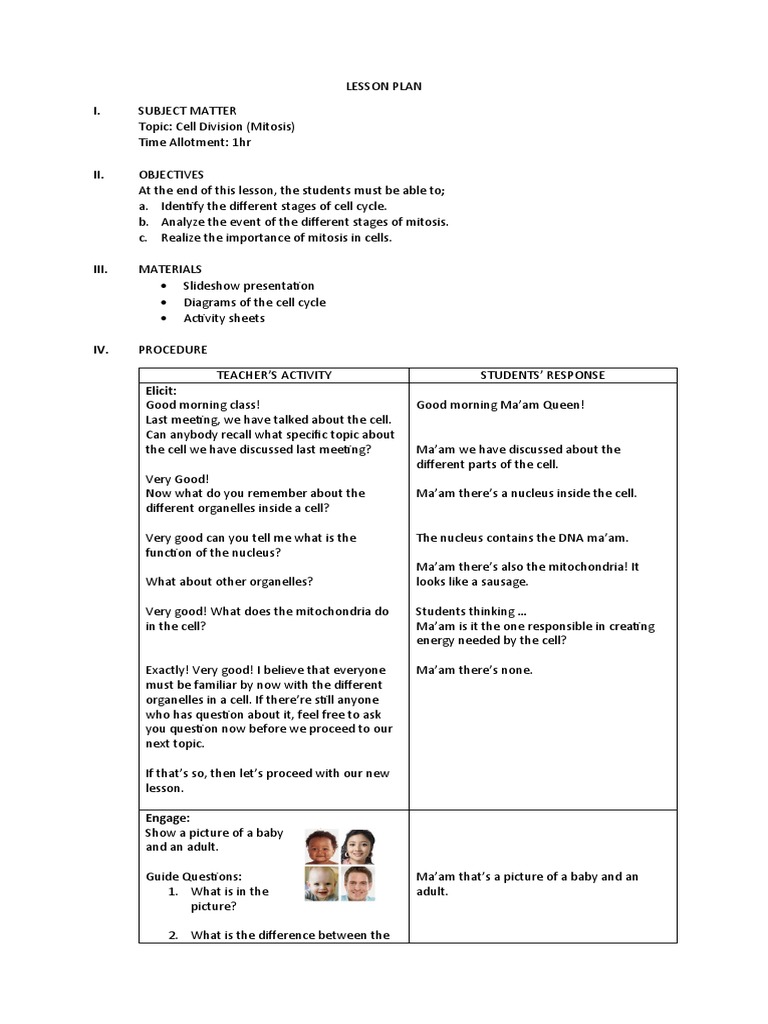 Lesson Plan Cell Cycle | PDF | Cell (Biology) | Mitosis
