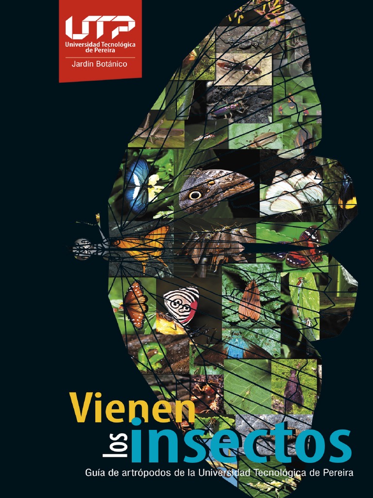 Vienen Los Insectos | PDF | Escarabajo | Insectos