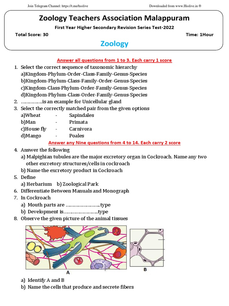 Hsslive Xi Zoology Rev Test 1 QN by Zta Malappuram | PDF | Epithelium ...