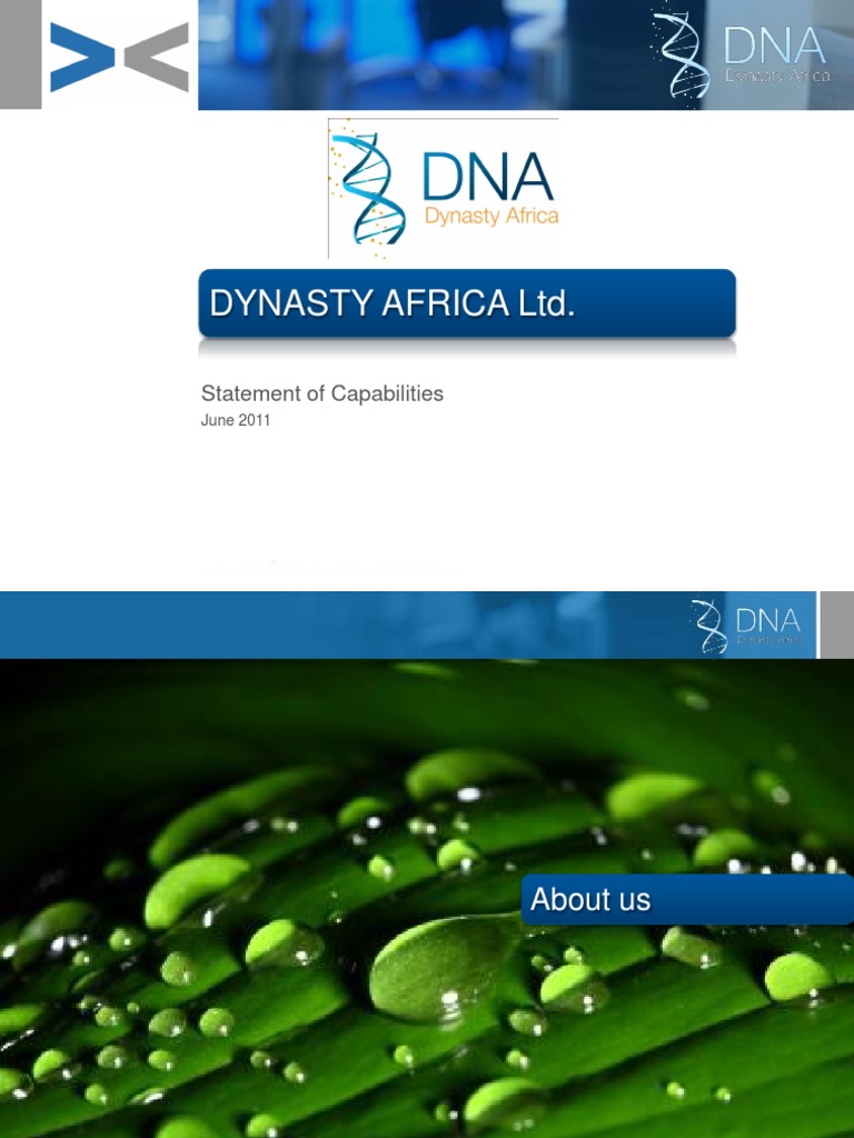 DNA Company Profile Final | PDF | Business Process | Strategic Management