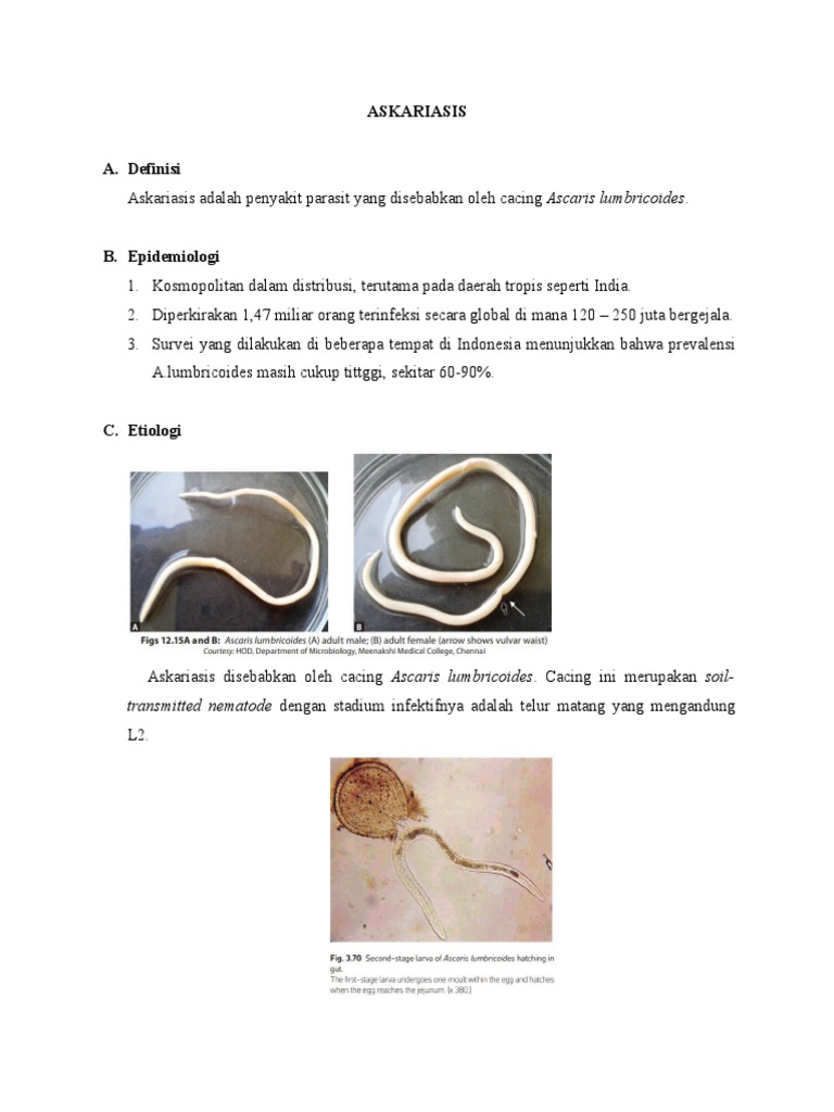 ASKARIASIS | PDF