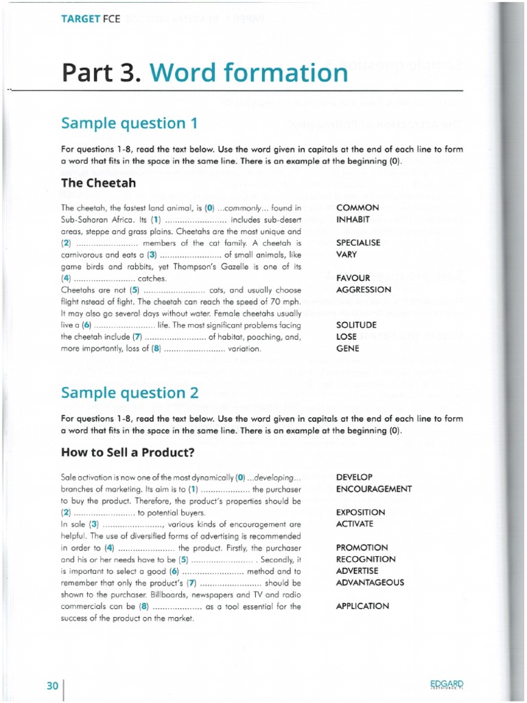 Target Fce S. 30 | PDF