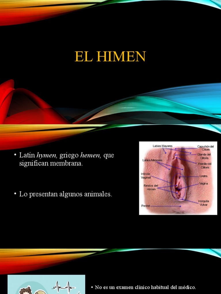 El Himen | Descargar gratis PDF | Medicina CLINICA | Especialidades Medicas El Himen | Descargar gratis PDF | Medicina CLINICA | Especialidades Medicas