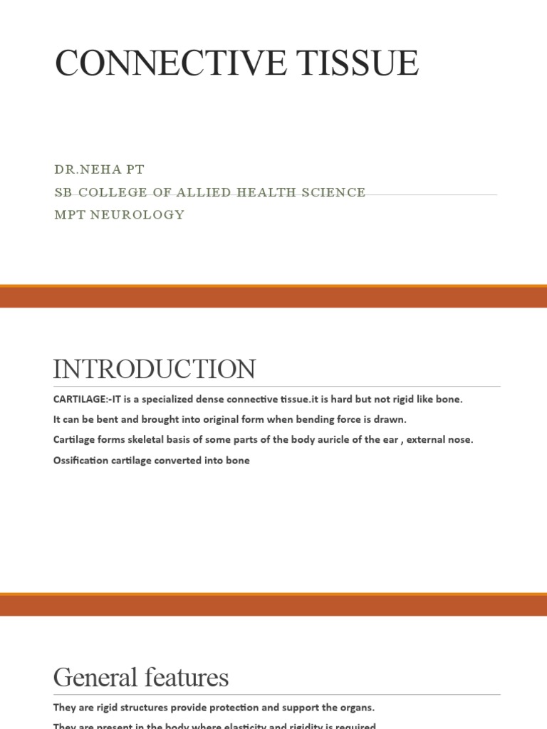 Connective Tissue | PDF | Bone | Cartilage