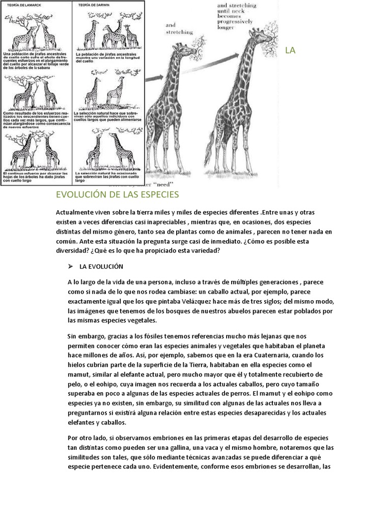 La Evolución de Las Especies | PDF | Evolución | Charles Darwin