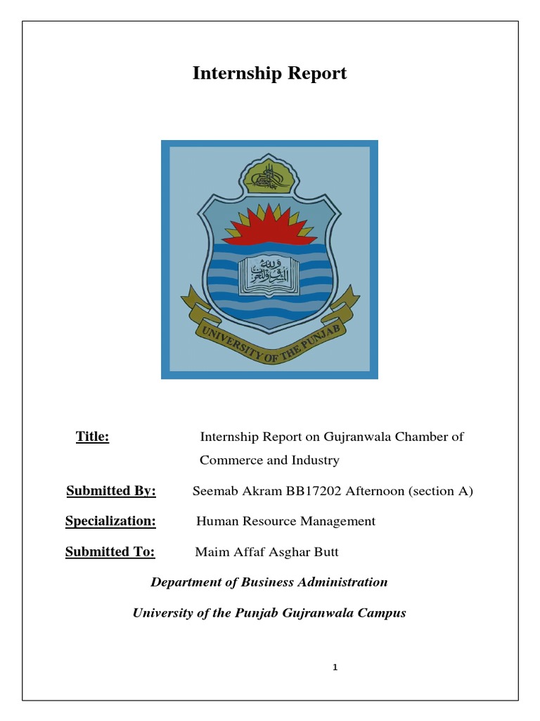 Internship Report 202 | PDF | Audit | Articles Of Association