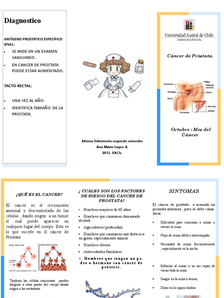 Triptico Ca de Prostata | PDF | Cancer de prostata | Cáncer