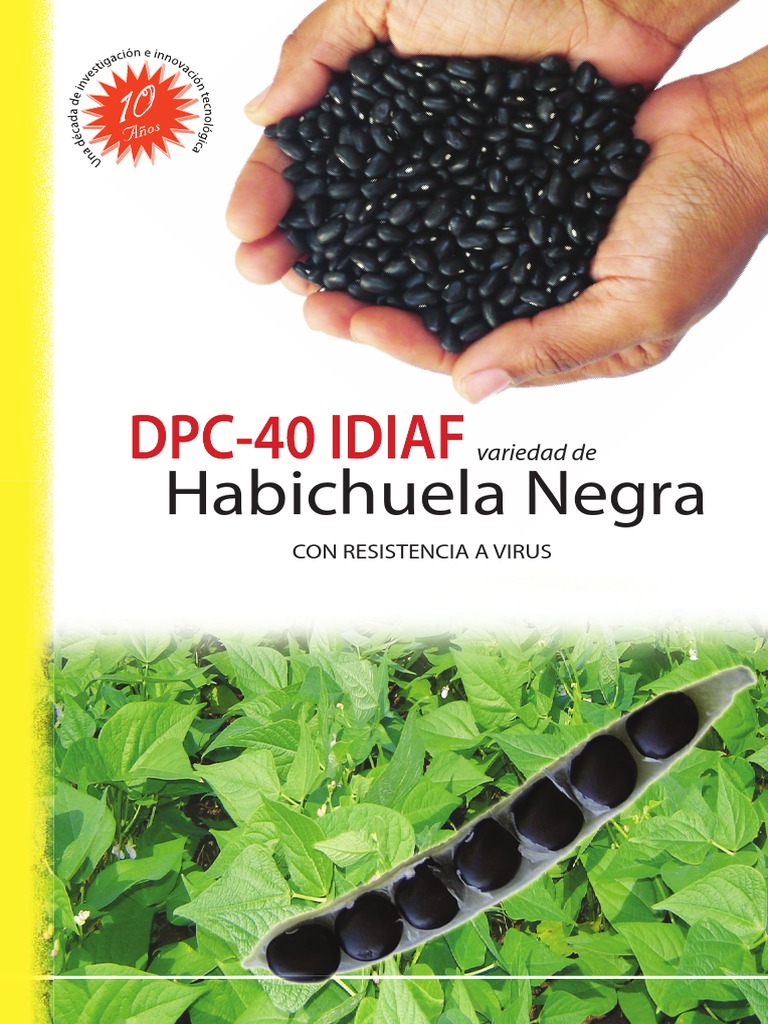 Habichuela Negra DPC 40 | PDF | Agricultura | Botánica