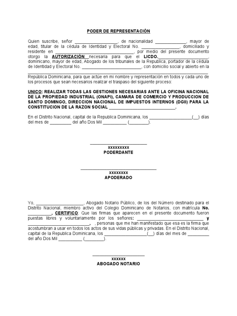 1-1 Poder de Representacion Compañia - Modelo | PDF