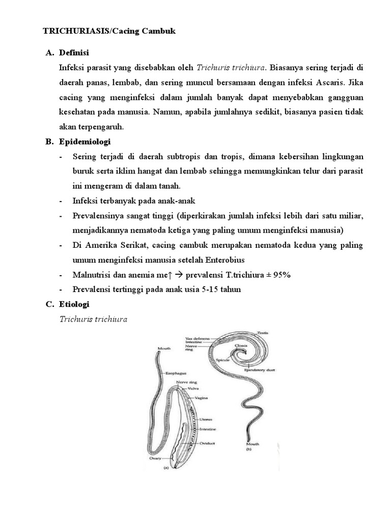 TRICHURIASIS | PDF | Kesehatan Holistik | Teknologi & Rekayasa