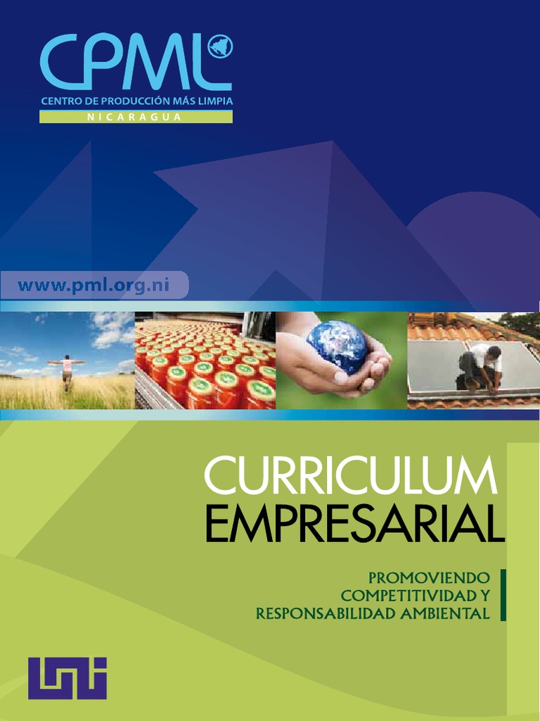 Curriculum Empresarial Master | PDF