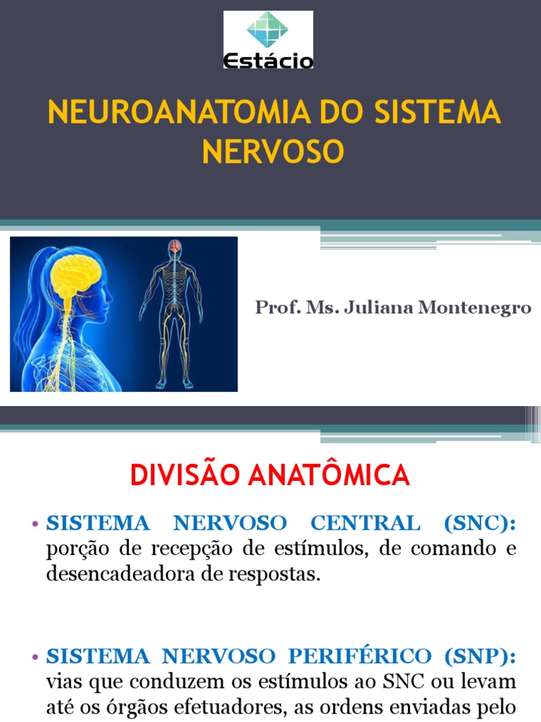 Aula1 Neuroanatomia Do SNC | PDF | Sistema nervoso central | Cérebro