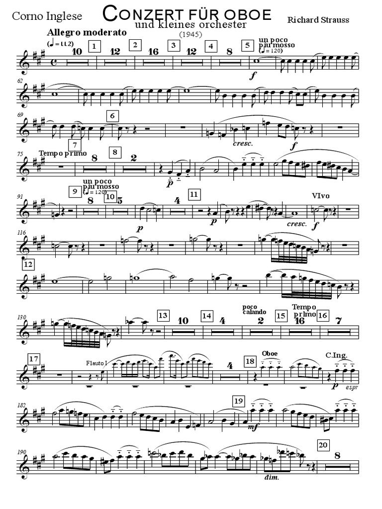 Strauss, R - Concerto Oboe - Corno Ingles | PDF | Formes musicales | Éléments de la musique