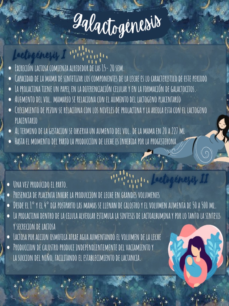 Galactogénesis | PDF