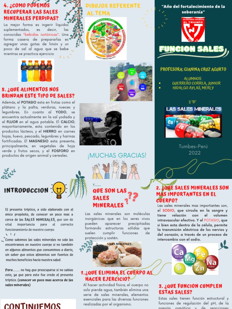 Que Son Las Sales Minerales | PDF | Sal (química) | Alimentos