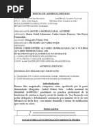 Solicita Comparecencia Zoom | PDF