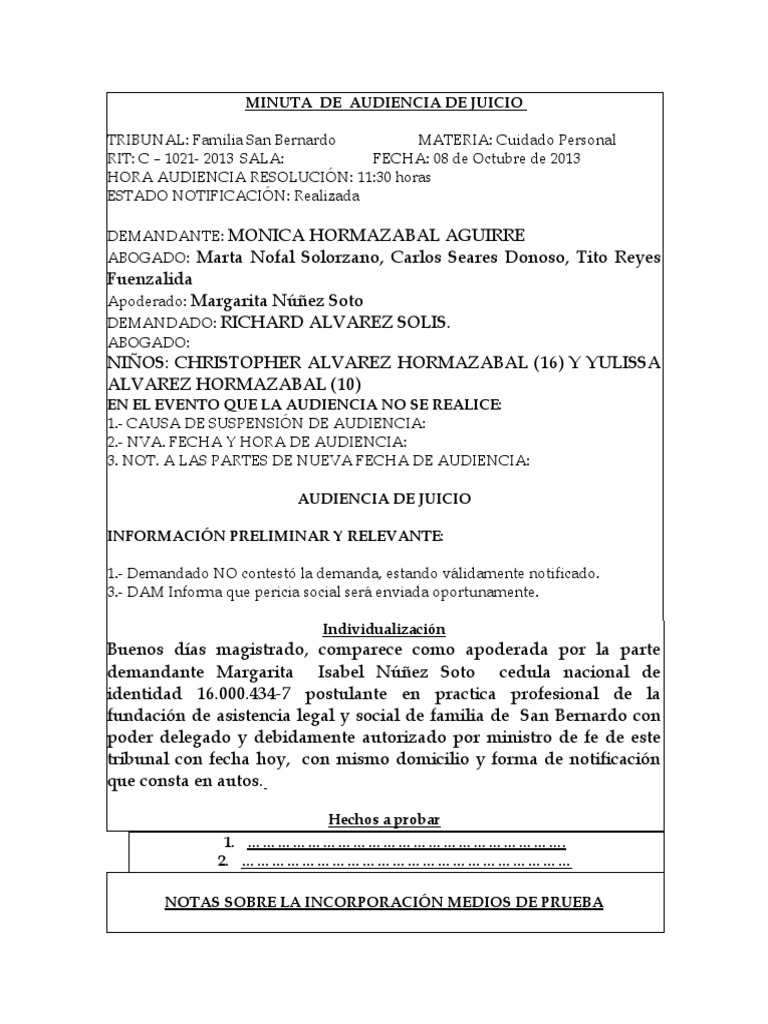 Minuta de Audiencia Juicio | PDF | Gobierno