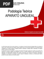 Onicopatía-Polioniquia - García Rodríguez | PDF