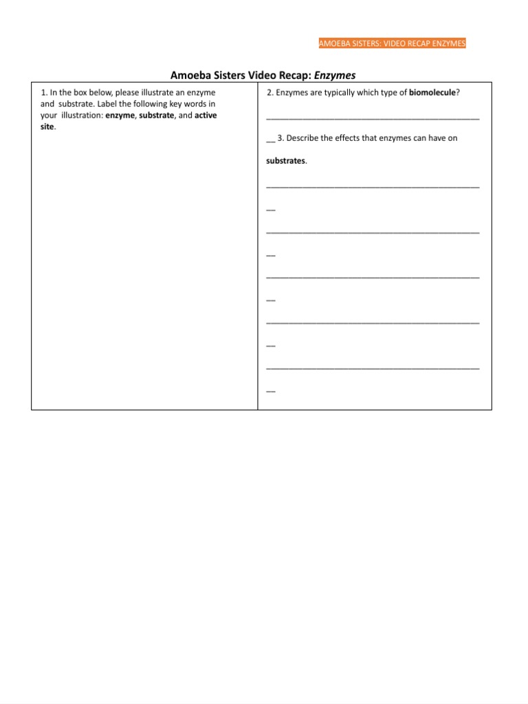 Hardt 2021 2022 Bio Video Recap Of Enzymes By Amoeba