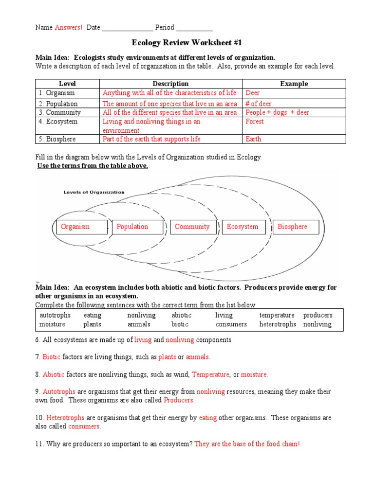 Ecology Review Worksheet 1 Answers | PDF | Food Web | Ecosystem