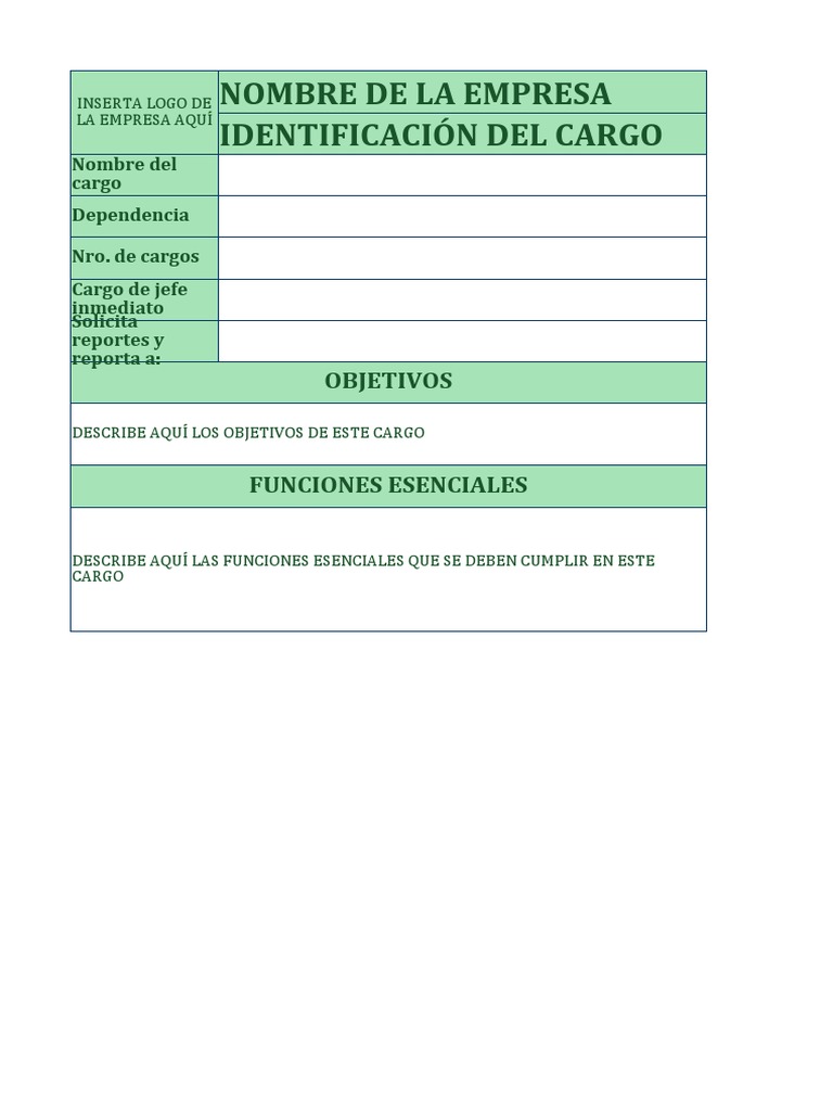 Formato de Manual de Funciones en Excel | PDF