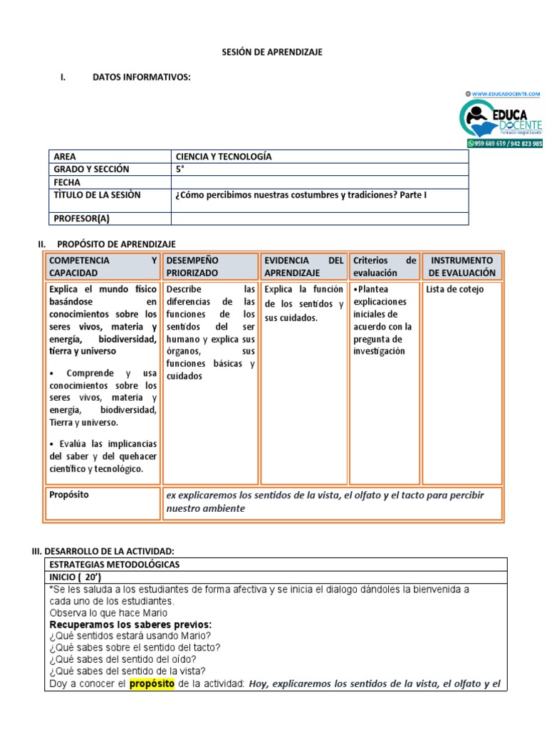 Como Percibimos | PDF | Evaluación | Aprendizaje