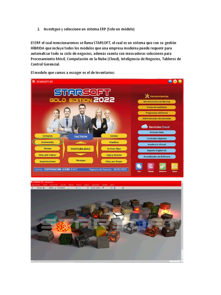 Investigue y Seleccione Un Sistema ERP | PDF | Negocios | Informática