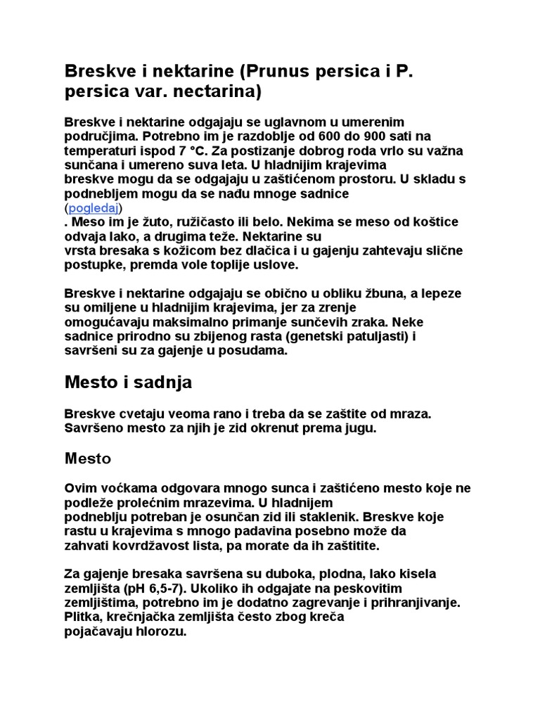 Breskve i nektarine | PDF