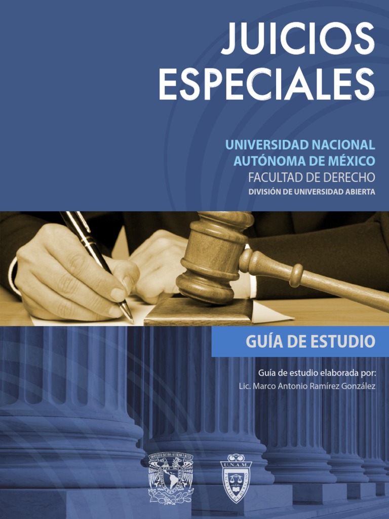 G Juicios Especiales | PDF | Apelación | Ley procesal