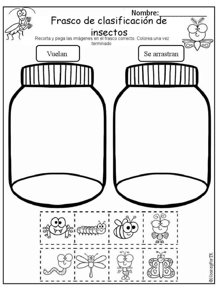 Insectos | PDF | Métodos y materiales de enseñanza