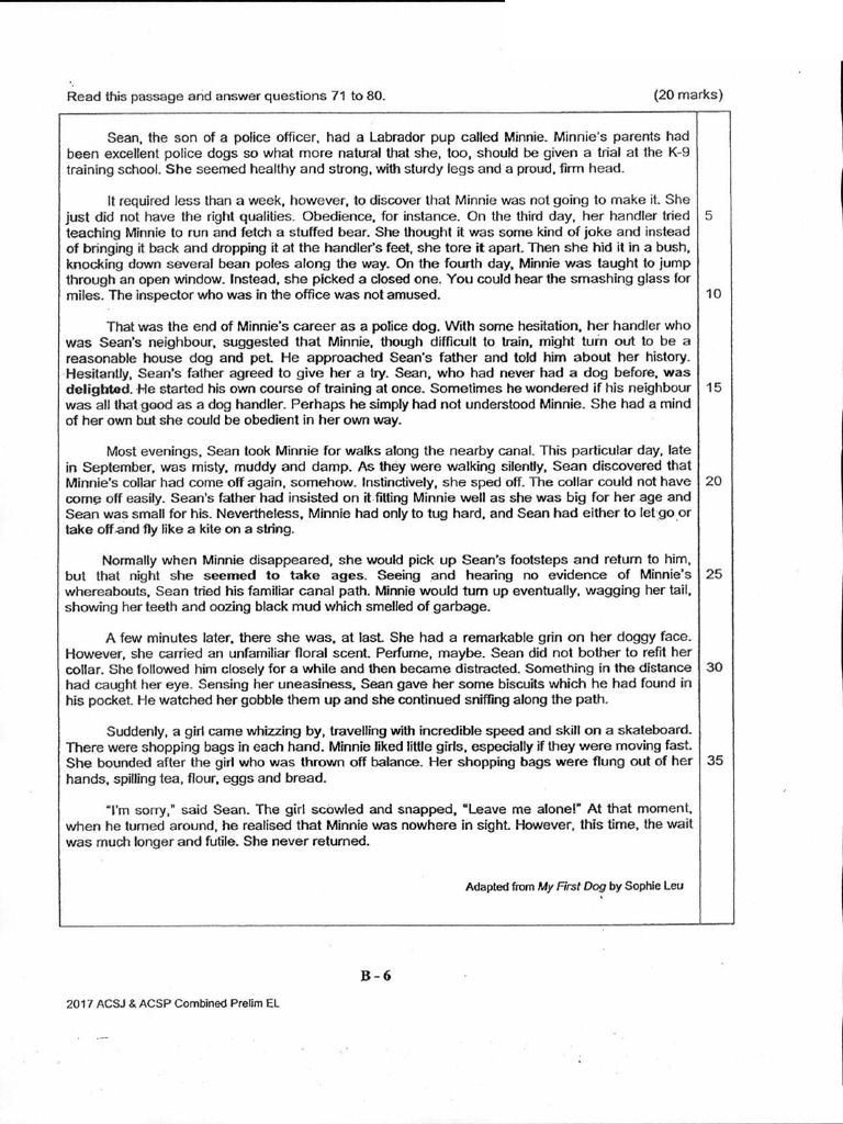 Comprehension HW (P6) | PDF