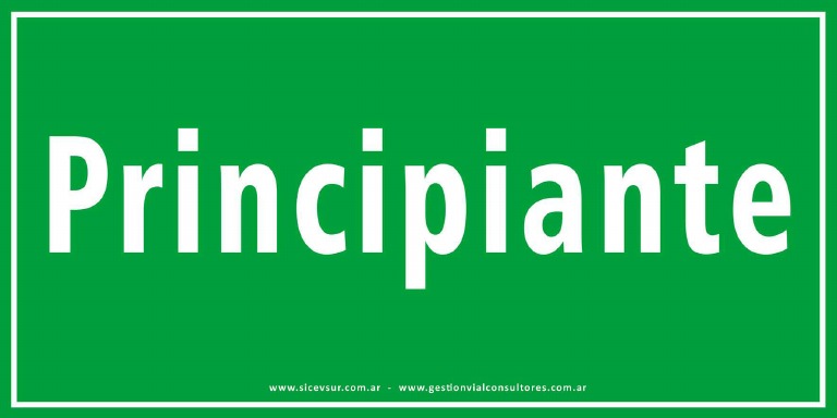 Cartel Principiante | PDF