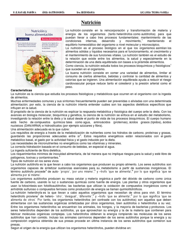 La Nutricion | PDF | Nutrición | Dieta y nutrición
