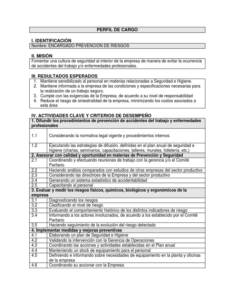 Ejemplo PERFIL DE CARGO | PDF | Software | Business