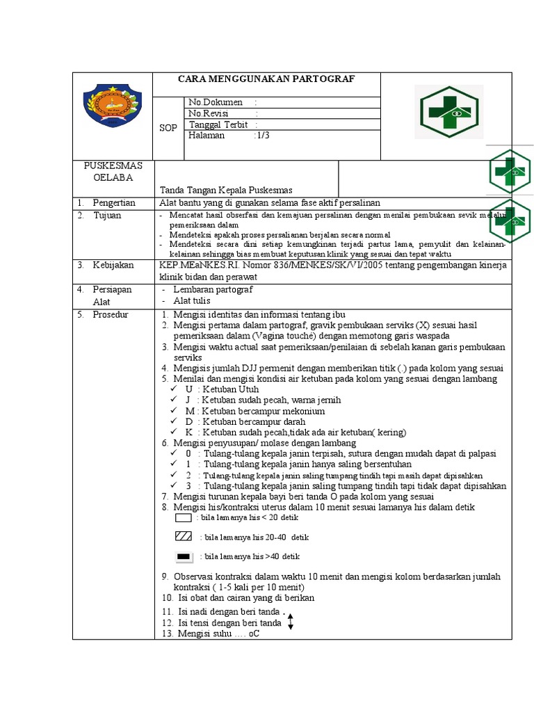Sop Cara Menggunakan Partograf | PDF