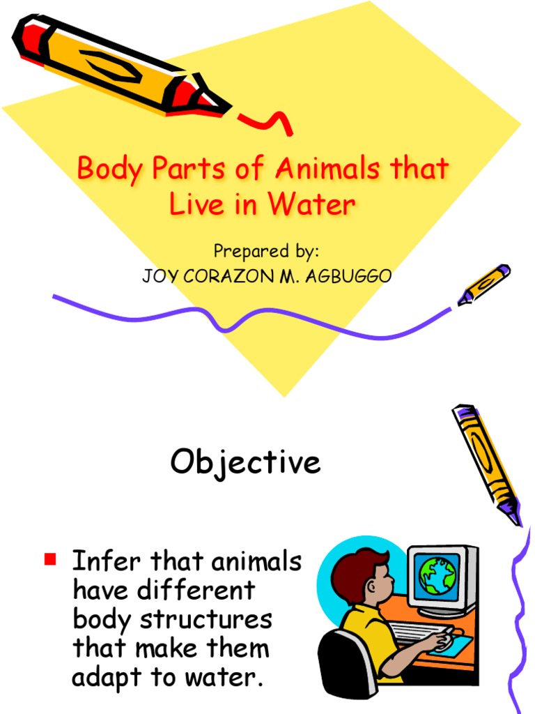 Grade 4 PPT - Science - Q2 - BODY PARTS OF AQUATIC ANIMALS | PDF