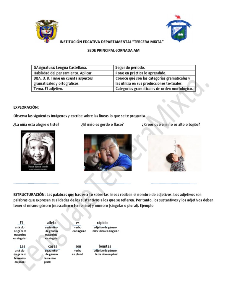 Adjetivos y Ortografía: Guía Educativa | PDF | Género gramatical | Adjetivo