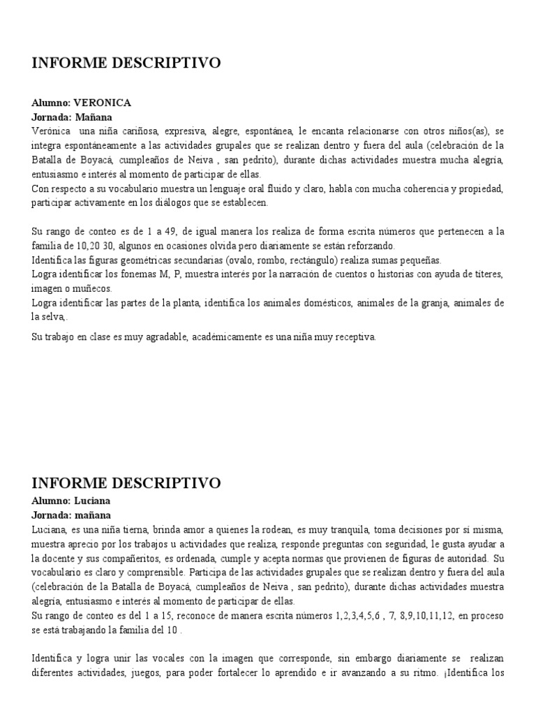 Informe Descriptivo Agosto 4 | PDF | Juguetes