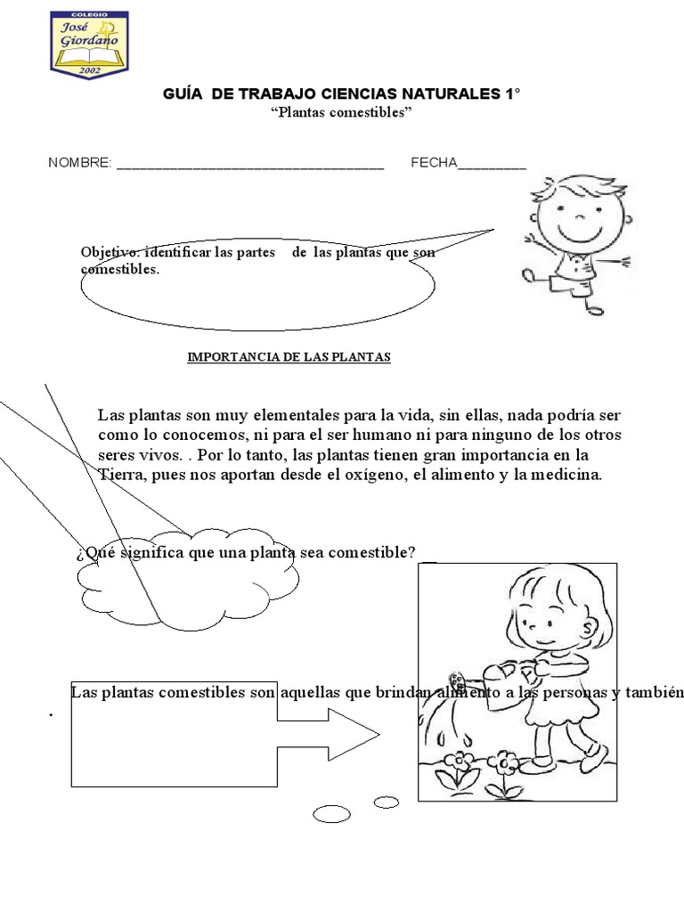 Las Partes de Las Plantas Que Comemos | PDF