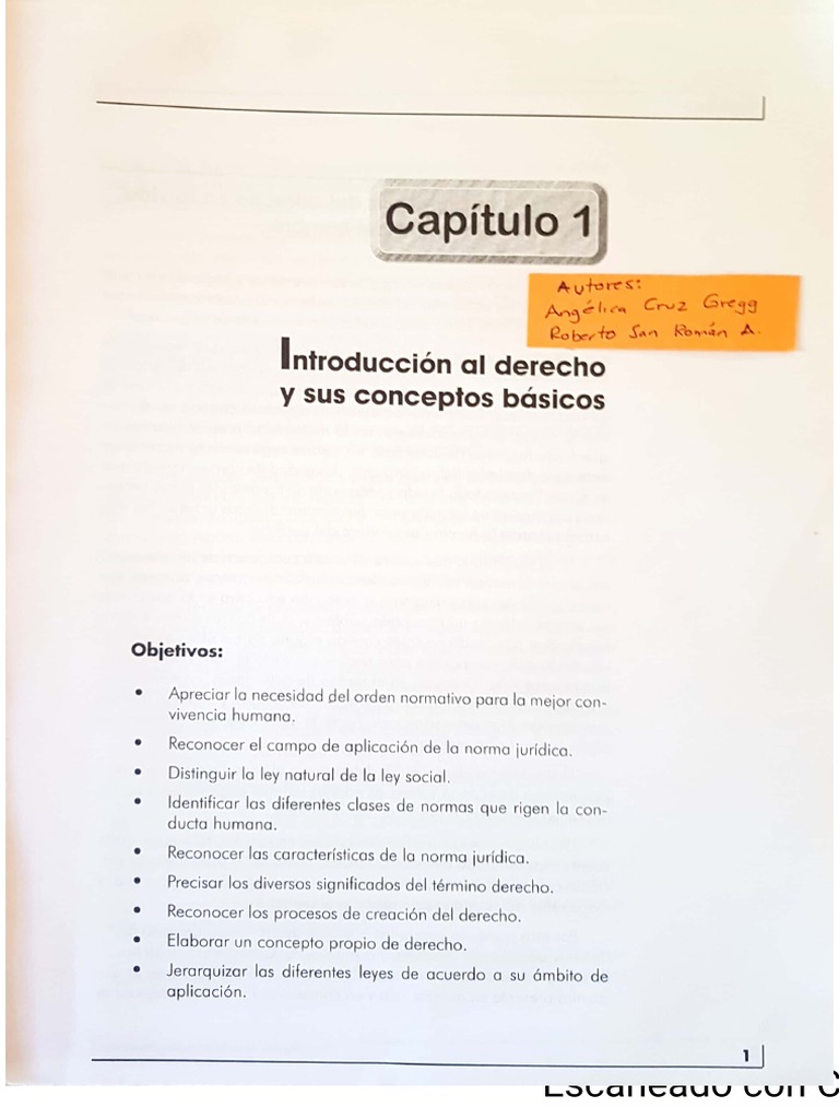 9 Capitulos Libro Fundamentos de Derecho Positivo Mexicano Angelica Cruz y Roberto San Roman | PDF