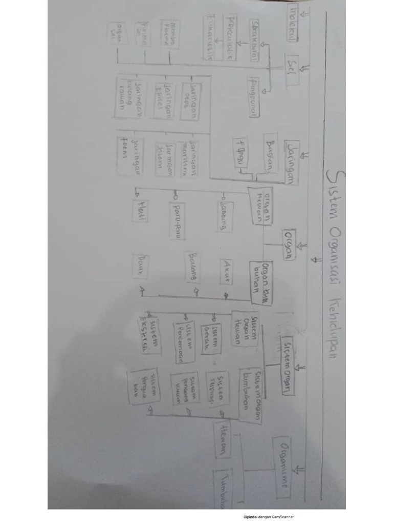 Peta Konsep Ipa | PDF