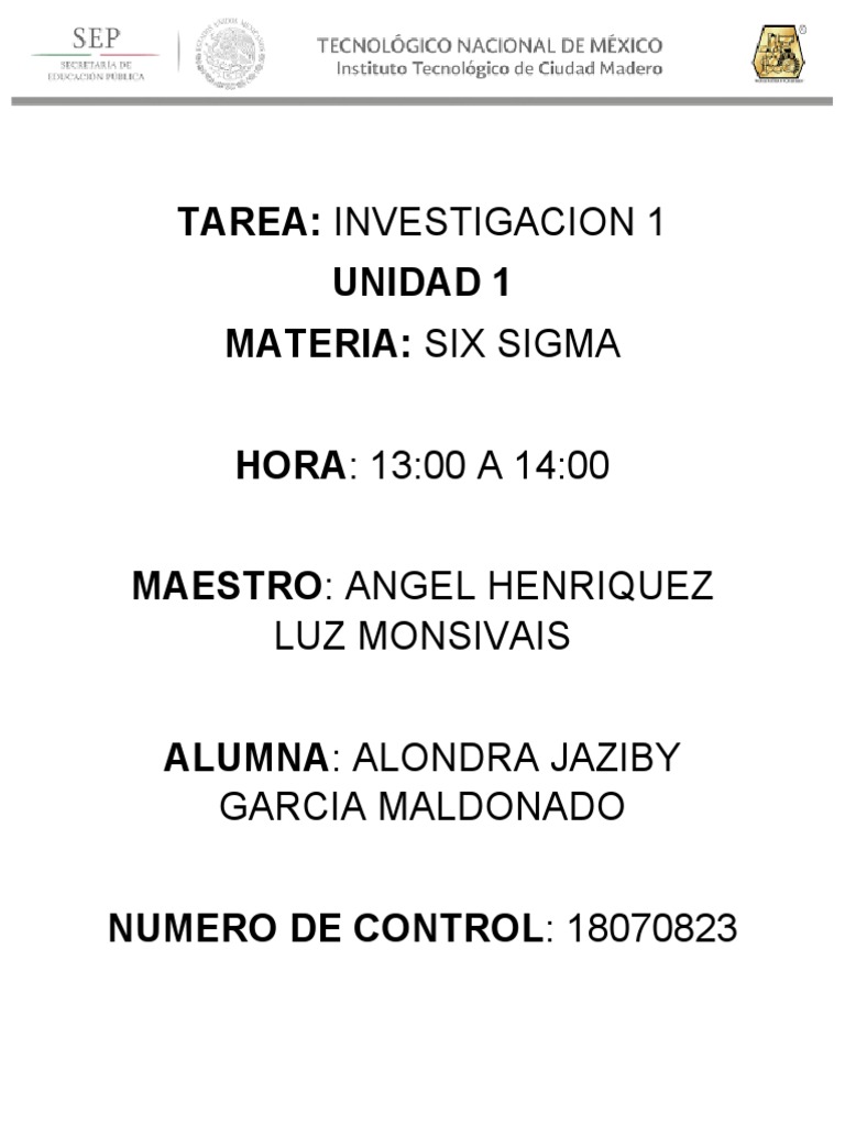 Tarea 1 Six Sigma | PDF | Lean Manufacturing | Business