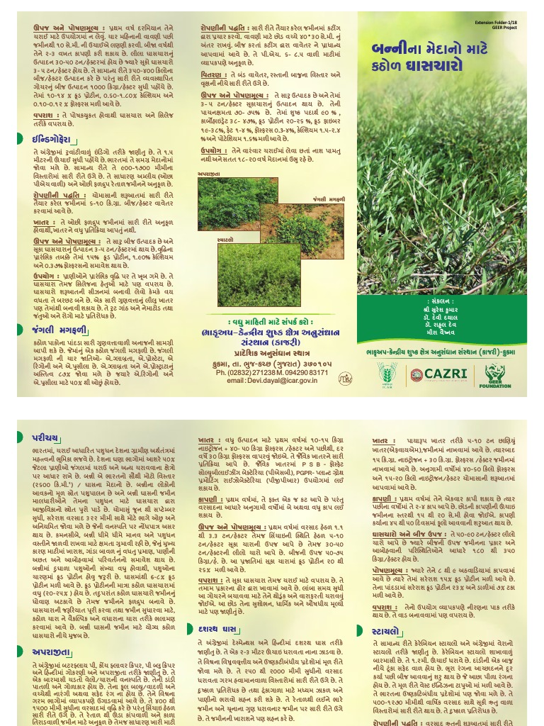 Banni - Forage Brochure 1 | PDF