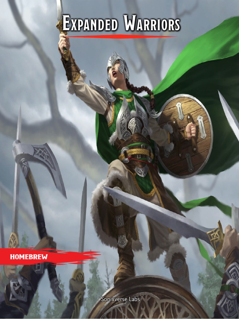 Expanded Warriors - GM Binder | PDF | Shield | Fortification