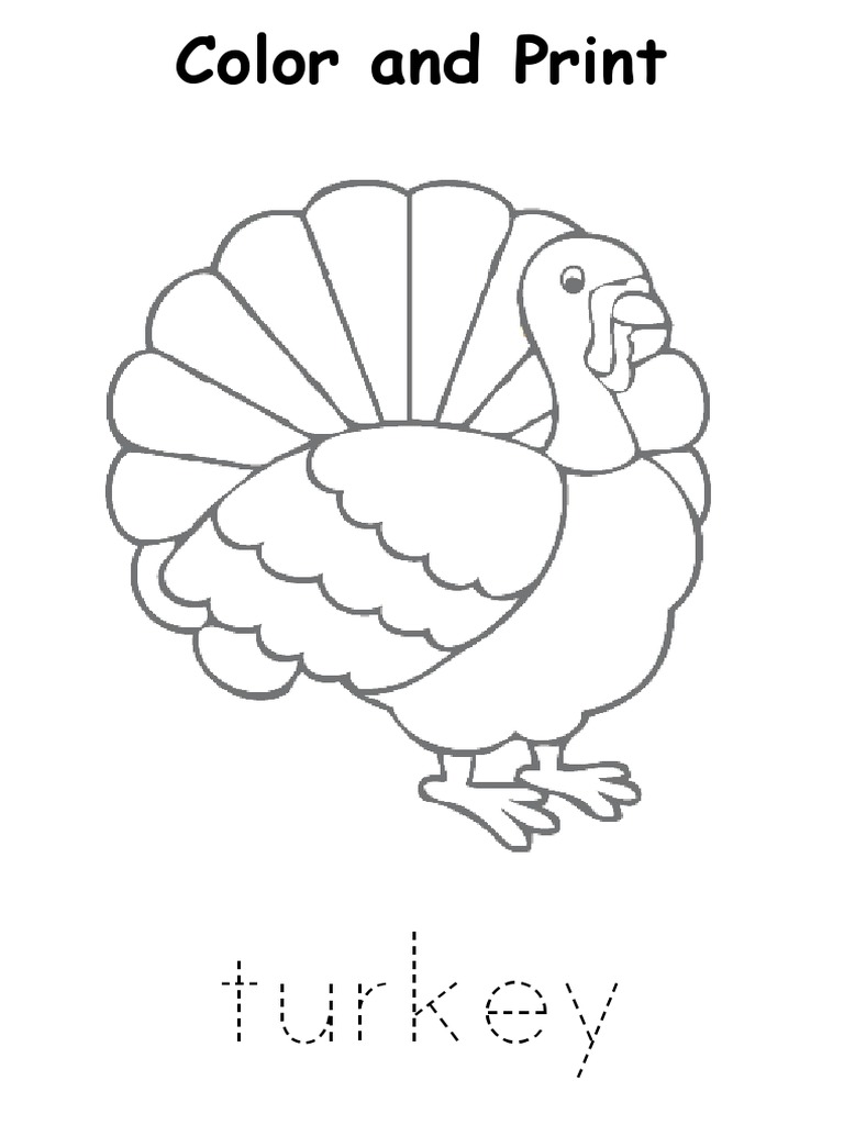 Color Turkey | PDF
