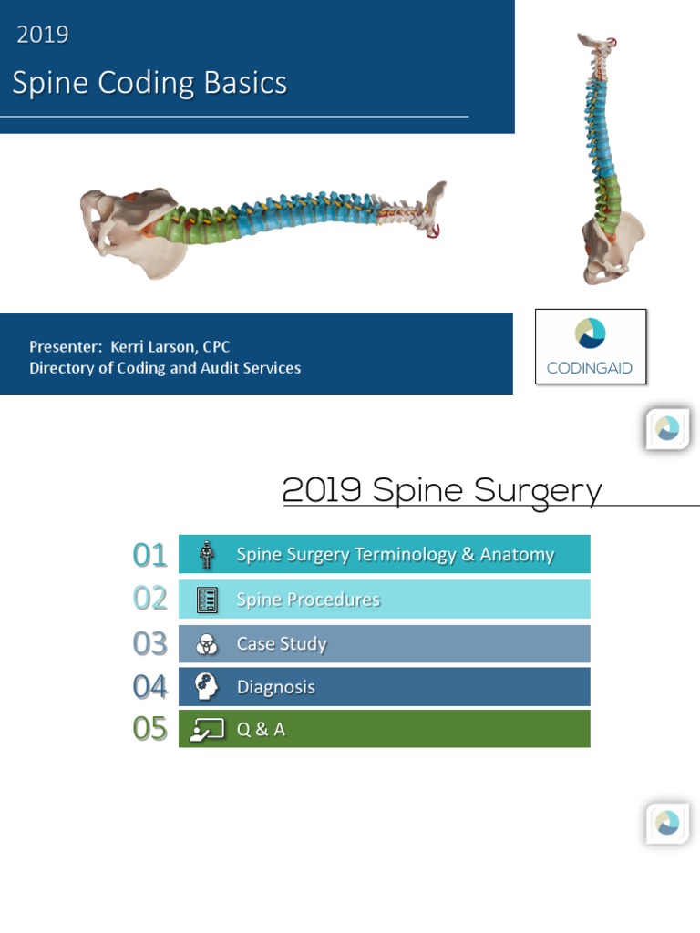 Spinal Coding Handout | PDF | Vertebral Column | Vertebra Spinal Coding Handout | PDF | Vertebral Column | Vertebra